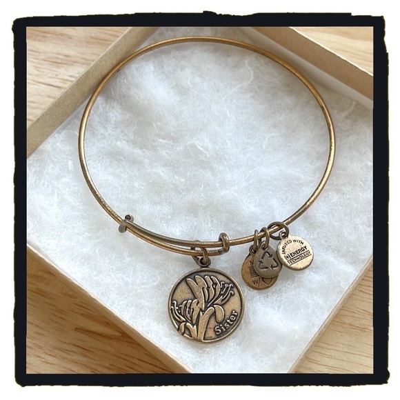 Alex and Ani | Jewelry | Alex And Ani Charm Bracelet Sister Forever ...